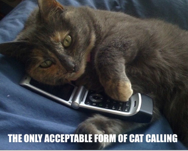 Catcalling in Another Language – An American Feminist Teacher